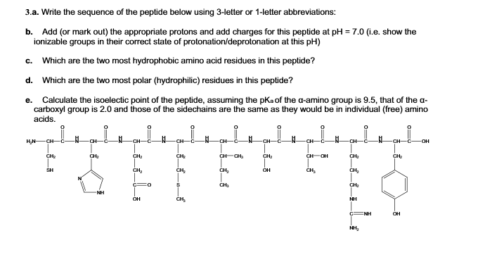 Solved Write the sequence of the peptide below using | Chegg.com