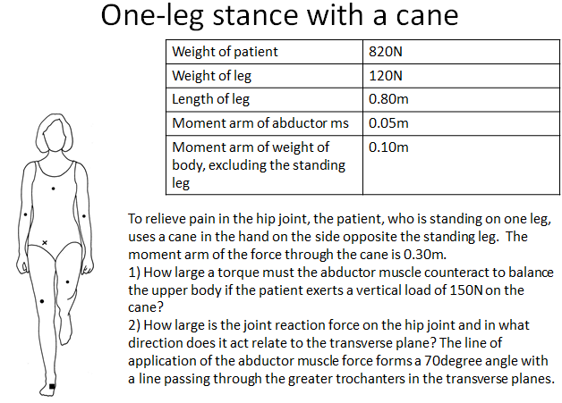 Solved To relieve pain in the hip joint, the patient, who is | Chegg.com