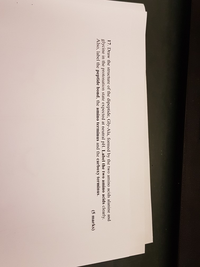 Solved 17. Draw the structure of the dipeptide, Gly-Ala, | Chegg.com