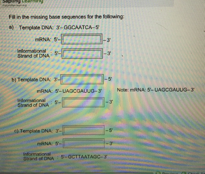 Solved Fill in the missing base sequences for the following: | Chegg.com