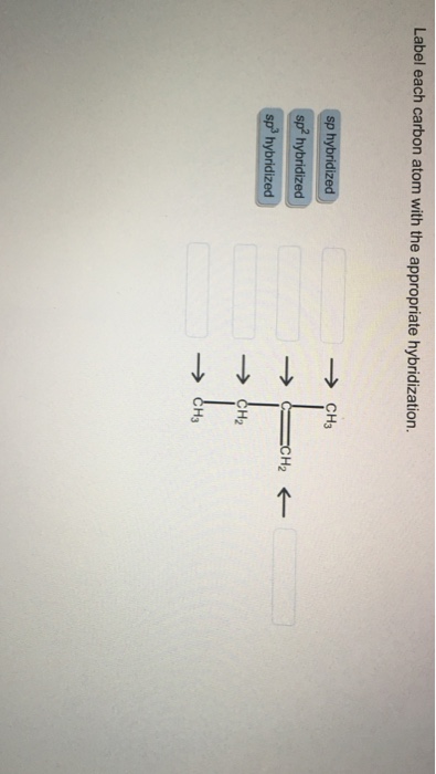 Solved Label each carbon atom with the appropriate | Chegg.com
