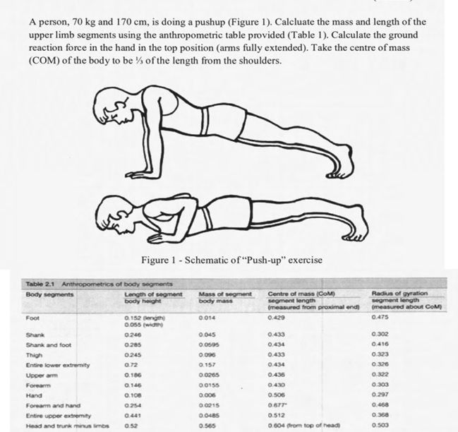 A person, 70kg and 170 cm, is doing a pushup (Figure | Chegg.com