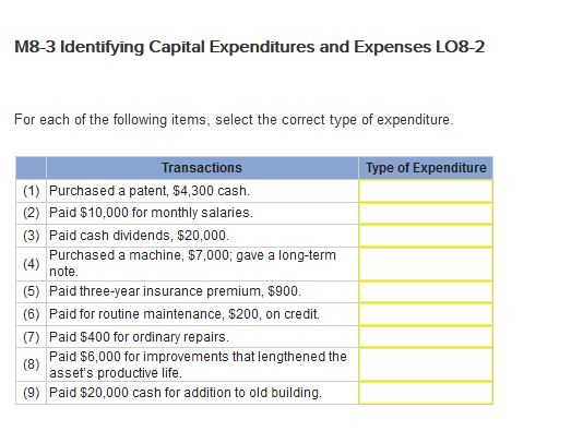 Solved Identifying Capital Expenditures and Expenses LO8-2 | Chegg.com