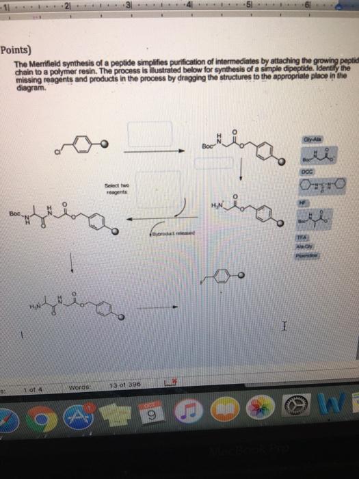 Solved The Merrifield synthesis of a peptide simplifies | Chegg.com