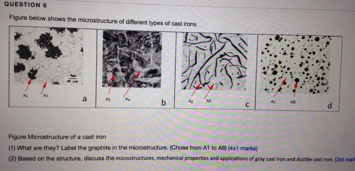 Solved Figure below shows the microstructure of different | Chegg.com