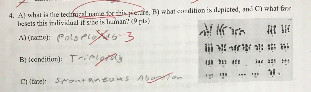 Solved 1. 2. "Dmitry Belyaev and Fox experiment" He | Chegg.com