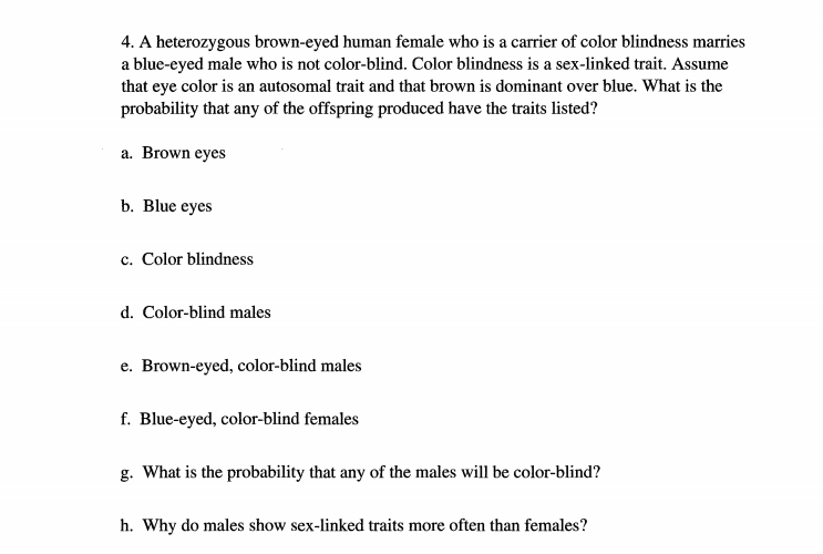Heterozygous Eye Color