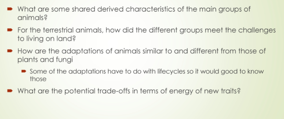 Solved What are some shared derived characteristics of the | Chegg.com