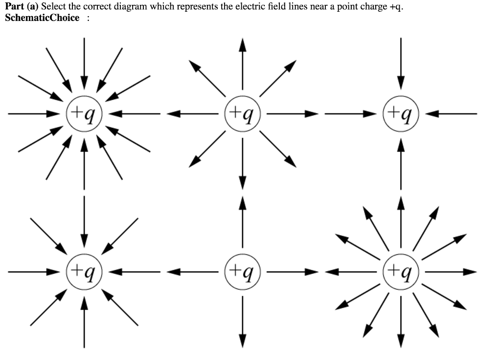 Solved Problem 12: The figure below shows the electric field | Chegg.com