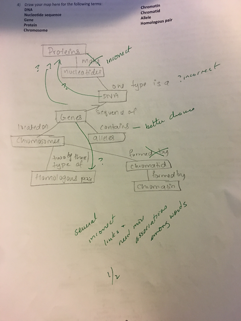 Solved Must be in a concept map form and have 2 links per | Chegg.com
