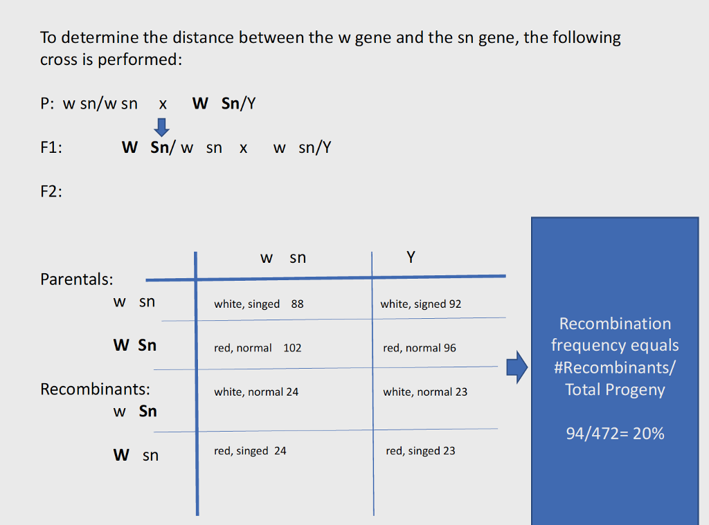 Genetics: From the second image how did they get 7%? | Chegg.com