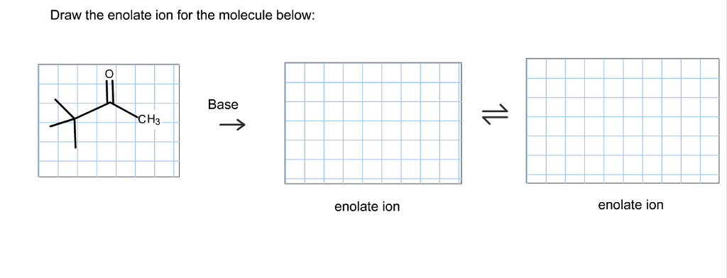 Solved Draw the enolate ion for the molecule below Base | Chegg.com