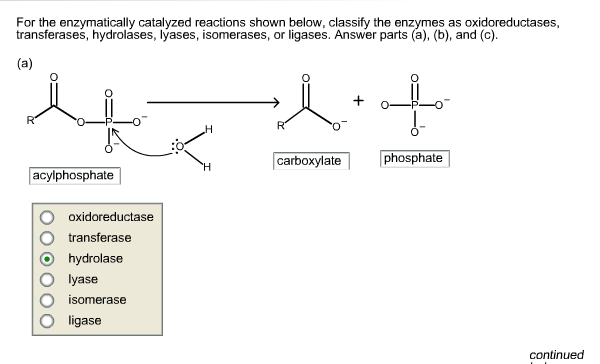Solved For the enzymatically catalyzed reactions shown | Chegg.com