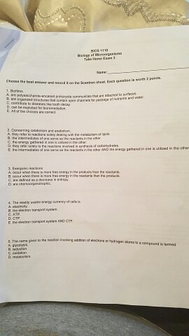 Checas the besi aliver Scaid E&a te Scanton sheet | Chegg.com