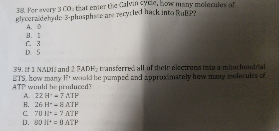 Solved alvin cycle, how many molecules of 38. For every 3 | Chegg.com