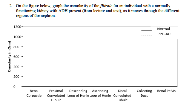 Solved 2. On the figure below, graph the osmolarity of the | Chegg.com