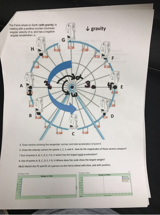 Solved The Ferris wheel on Earth (with gravity) is rotating | Chegg.com