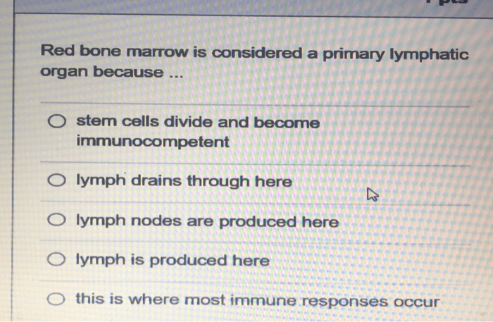 Solved Red bone marrow is considered a primary lymphatic | Chegg.com