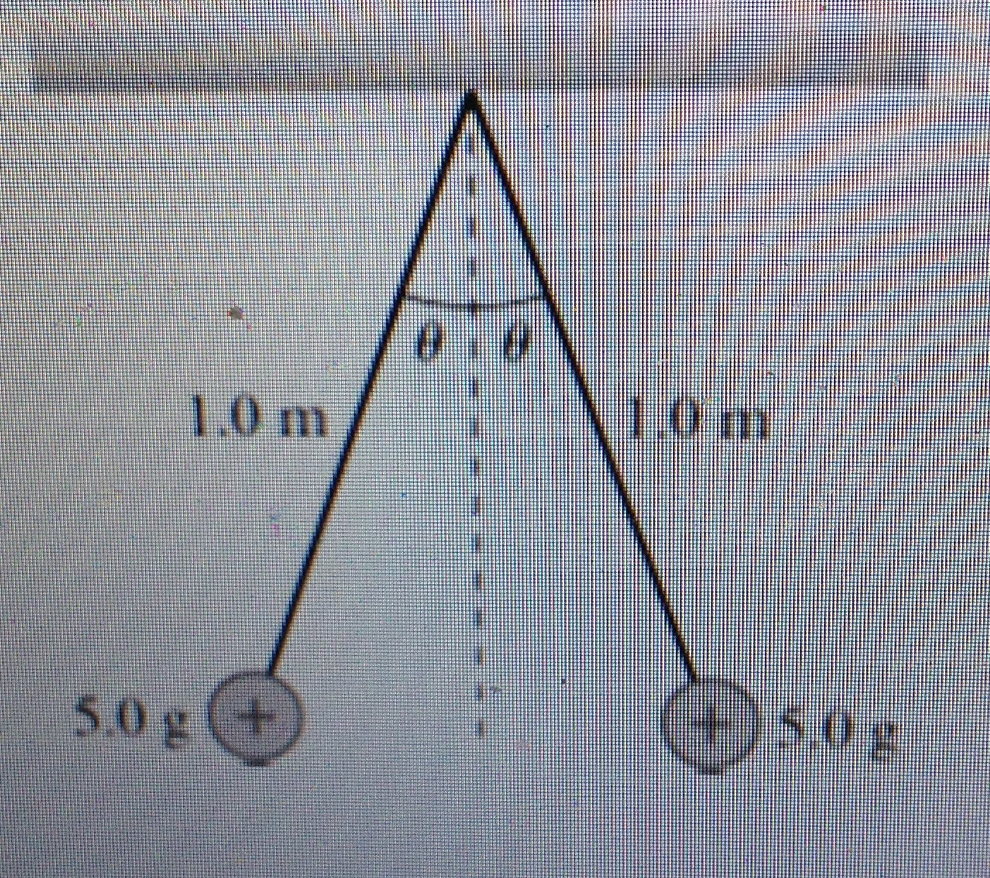 Solved The figure shows two tiny 5.0-g spheres suspended | Chegg.com