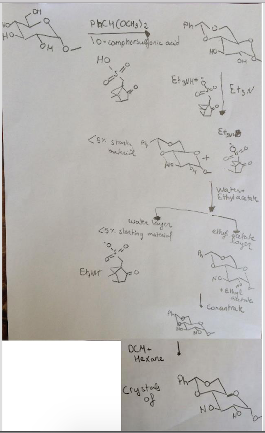 Solved RSlim Uottawa benzylidene acetal protection | Chegg.com