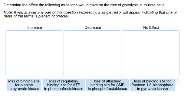 Solved Determine The Effect The Following Mutations Would