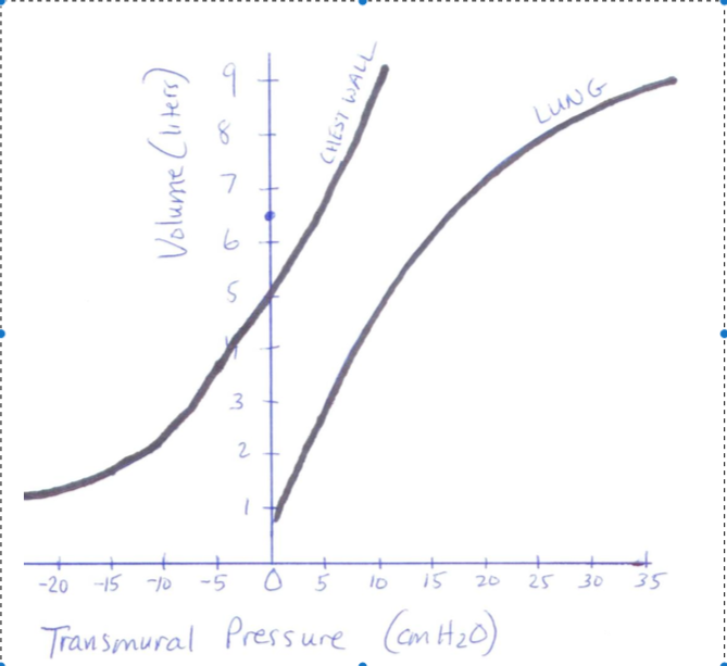 Solved Use the compliance curves of the lung and RESTING | Chegg.com