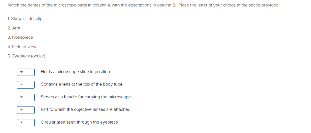 Solved Match the names of the microscope parts in column A | Chegg.com