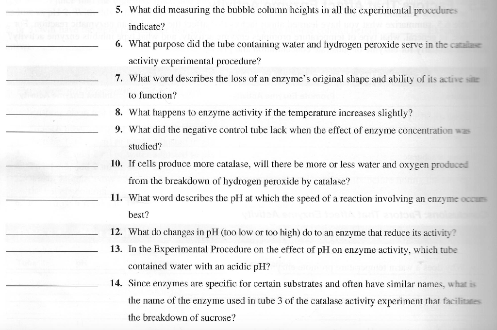 Solved 5. What did measuring the bubble column heights in | Chegg.com