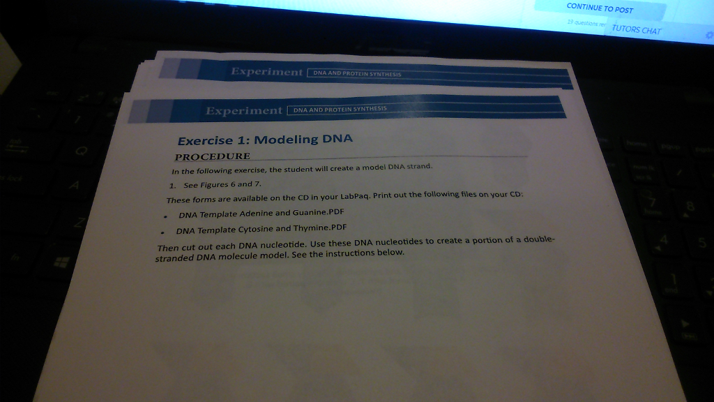 Solved Experiment DNA AND PROTEIN SYNTHESIS PROCEDURE 1. | Chegg.com