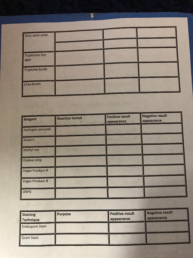 Sims semi-solid Trypticase Soy agar Tryptone broth | Chegg.com