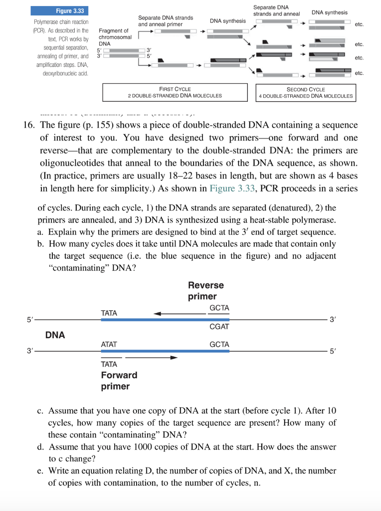 Solved Separate DNA strands and anneal Figure 3.33 DNA | Chegg.com