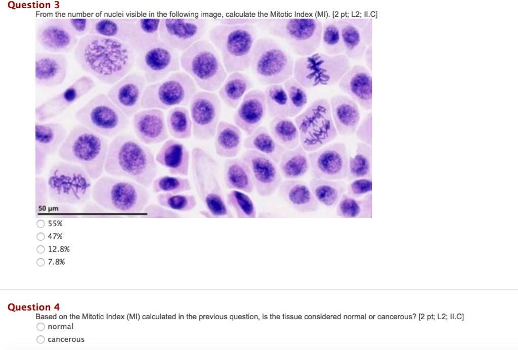 Solved From the number of nuclei visible in the following | Chegg.com Solved From the number of nuclei visible in the following | Chegg.com