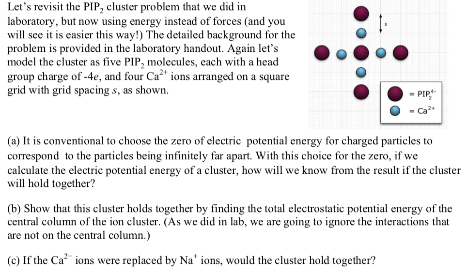 Solved Let's revisit the PIP2 cluster problem that we did in | Chegg.com