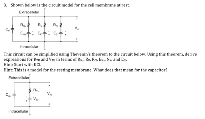 Solved Shown below is the circuit model for the cell | Chegg.com
