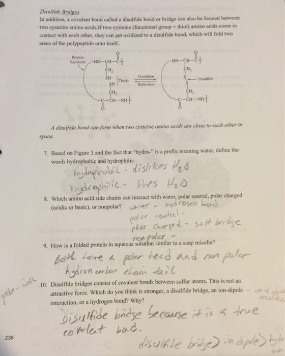Solved Disulfide Bridges In addition, a covalent bond | Chegg.com