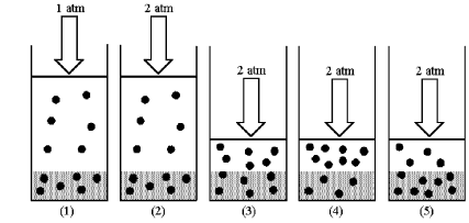 Solved this drawing shows a system in which an equilibrium | Chegg.com