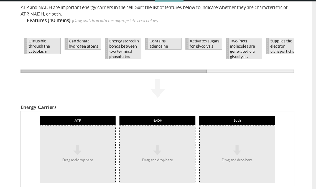 Solved ATP and NADH are important energy carriers in the | Chegg.com