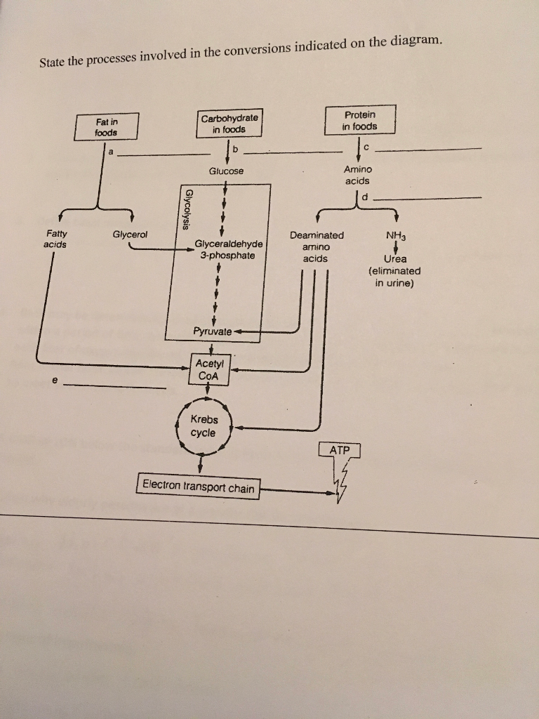 Solved State the processes involved in the conversions | Chegg.com