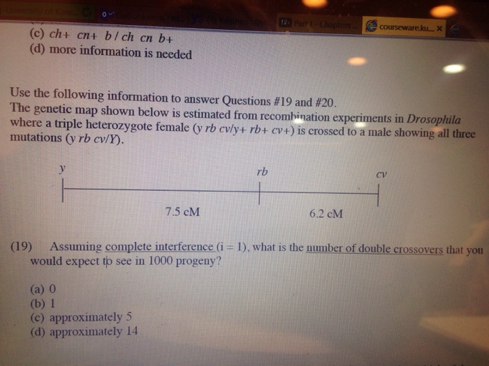 Solved Use the following information to answer Questions #19 | Chegg.com