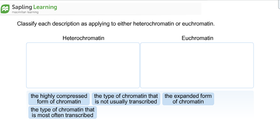 Solved Classify each description as applying to either | Chegg.com Solved Classify each description as applying to either | Chegg.com
