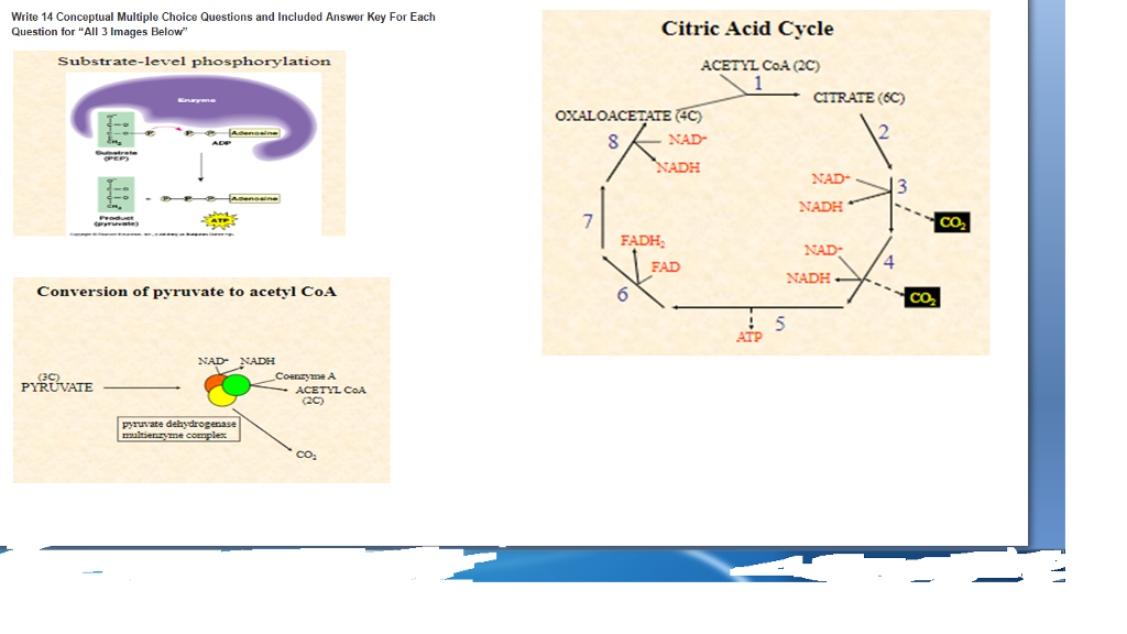 Solved Note: Write 14 Conceptual Multiple Choice Questions | Chegg.com