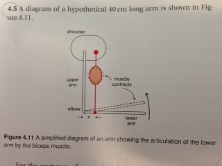 Solved a dagram of hypothetical 40 cm long arm is shown in | Chegg.com