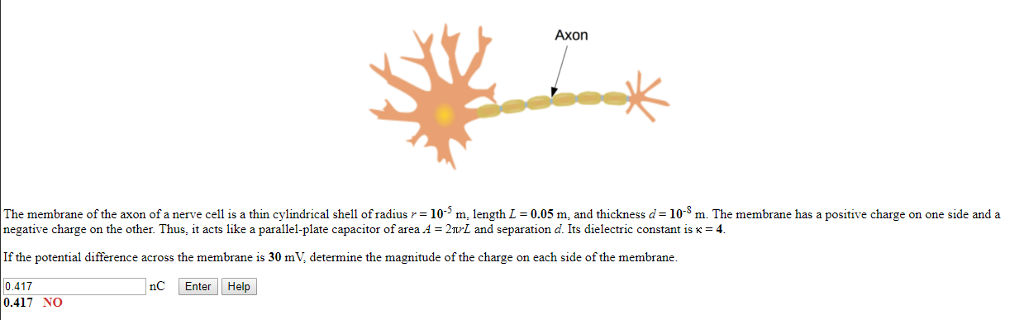 Solved Axon The membrane of the axon of a nerve cell is a | Chegg.com
