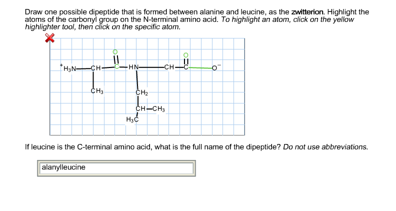 Solved Draw one possible dipeptide that is formed between | Chegg.com