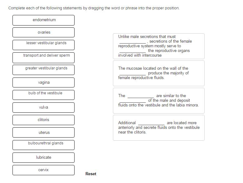 Solved Complete each of the following statements by dragging | Chegg.com