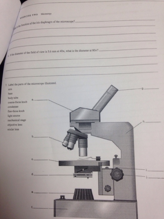 Solved Exercise 2 Microscopy Name 2 cabase Msegens. 1. If | Chegg.com