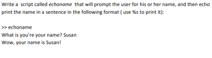 Solved Write a script called echoname that will prompt the | Chegg.com