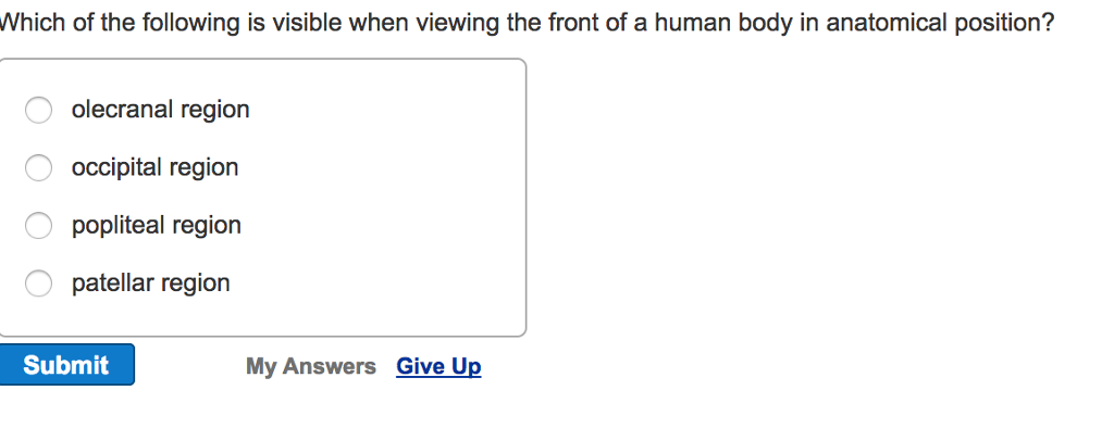 Solved Which of the following is visible when viewing the | Chegg.com