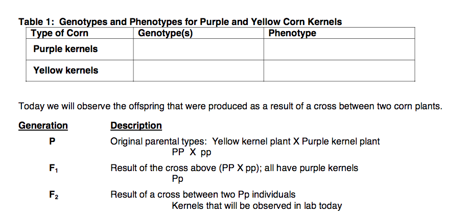 Solved For example, the gene for purple corn kernels is | Chegg.com