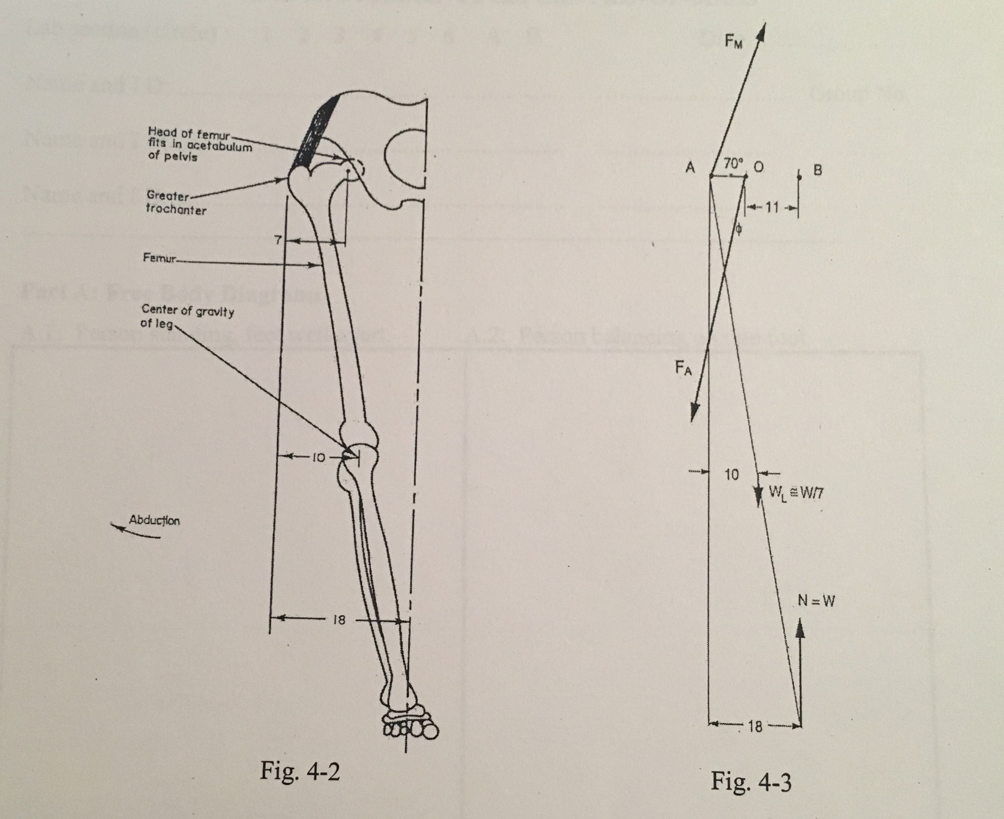 Person Standing Reference Drawing : Find & download the most popular ...